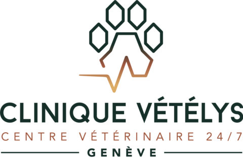 Clinique Vétélys : Centre Vétérinaire 24/7 Genève